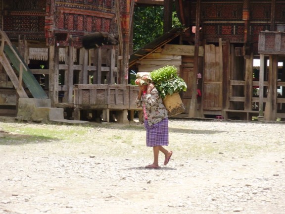 Interesting Places in Tana Toraja Worth Seeing - Path is my goal